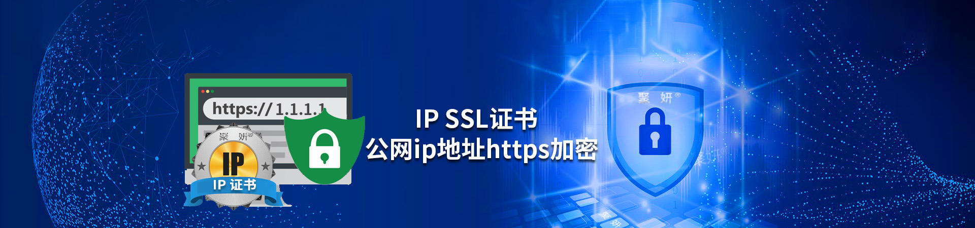 IP SSL证书300元- SSLDUN®SSL证书